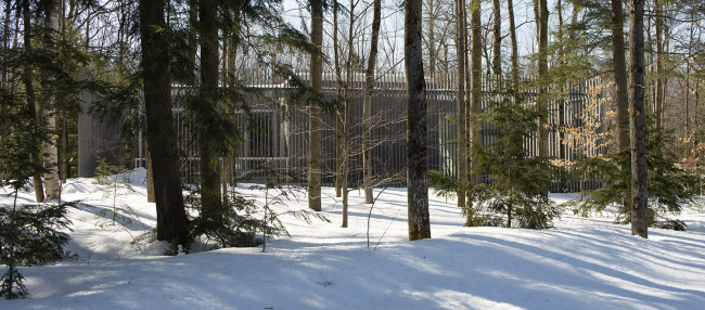 Стипендия Grantham Foundation 2025