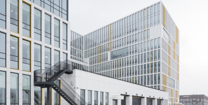 Rational Arrangement